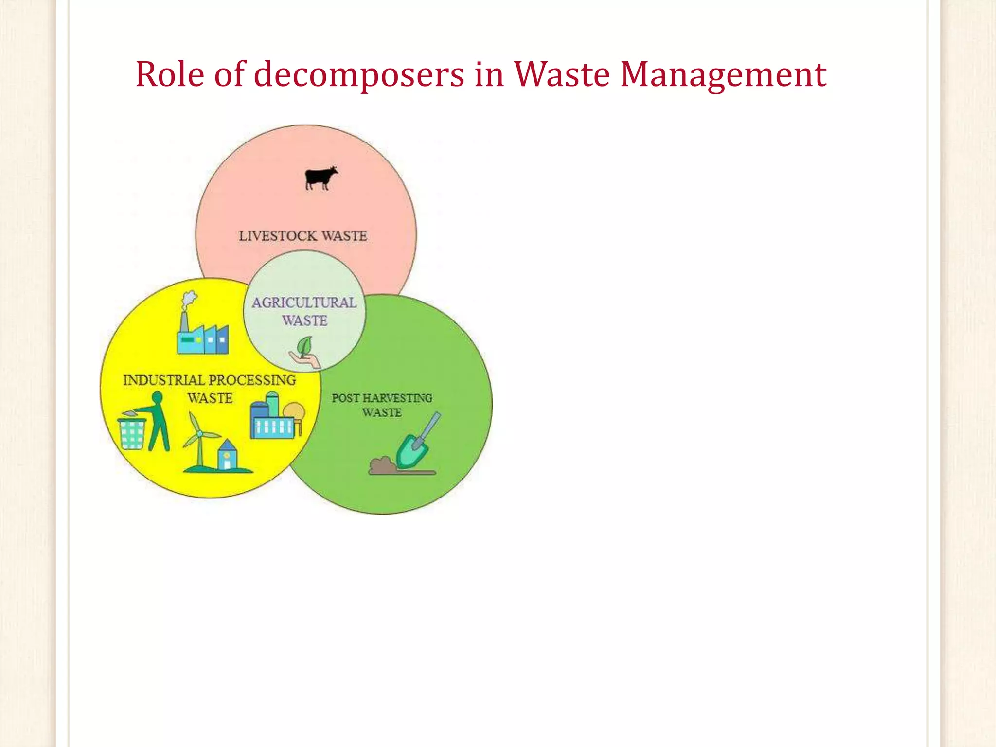 Valorization of Agro-Industrial Waste.pptx