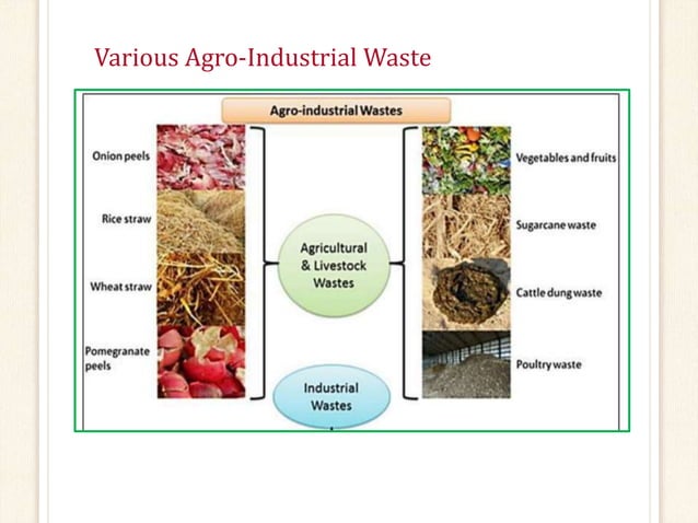 Valorization of Agro-Industrial Waste.pptx | Agriculture | Industries