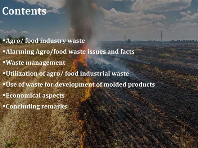 Valorization of Agro-Industrial Waste.pptx | Agriculture | Industries