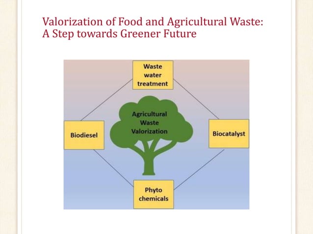Valorization of Agro-Industrial Waste.pptx | Agriculture | Industries