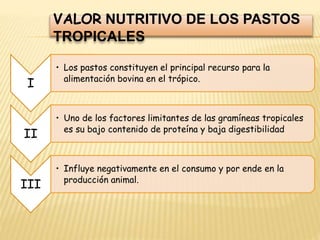 Valor nutritivos de los pastos tropicales | PPTX