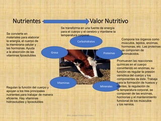 Valor nutritivos de los pastos tropicales | PPTX