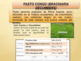 Valor nutritivos de los pastos tropicales | PPTX