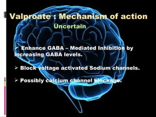 Sodium Valproate & Epilepsy: Dr Vijay Sardana | PPT