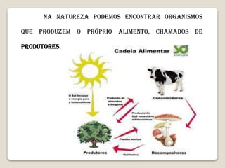 Valéria cadeia alimentar | PPTX