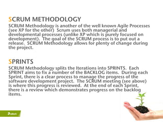 Glossary of Agile Terms | PDF | Computer Software and Applications | Computing