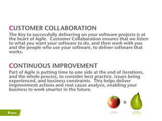 Glossary of Agile Terms | PDF | Computer Software and Applications | Computing