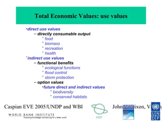 Valuation of Environmental Resources | PPT