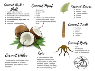 Value added products from coconut | PPTX