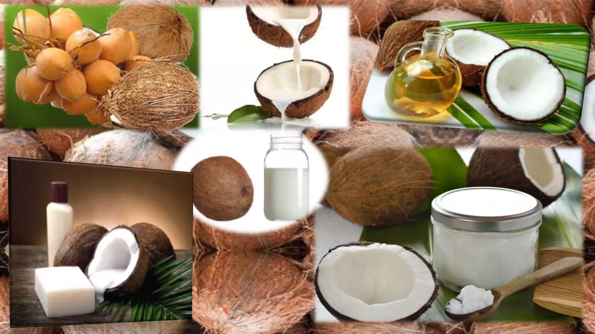 Value Added Products from Coconut (Coconut Processing: Coconut Oil ...
