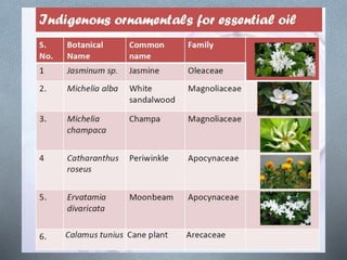 Value added products from fresh flowers . by Arushi garg | PPTX