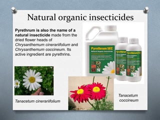 Value added products from fresh flowers . by Arushi garg | PPTX