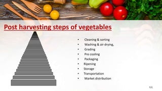 Value added products from vegetable. | PPTX