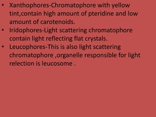 Value addition and colour enhancement in fishes | PPTX