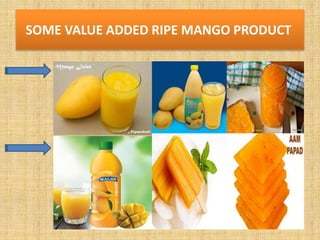 Value addition in mango | PPTX