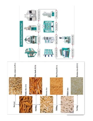Opportunities and Scope for Value addition in Rice based Products for ...
