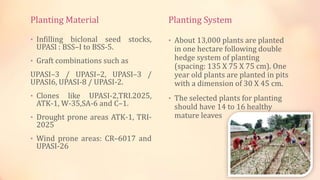 Value addition of tea | PPTX
