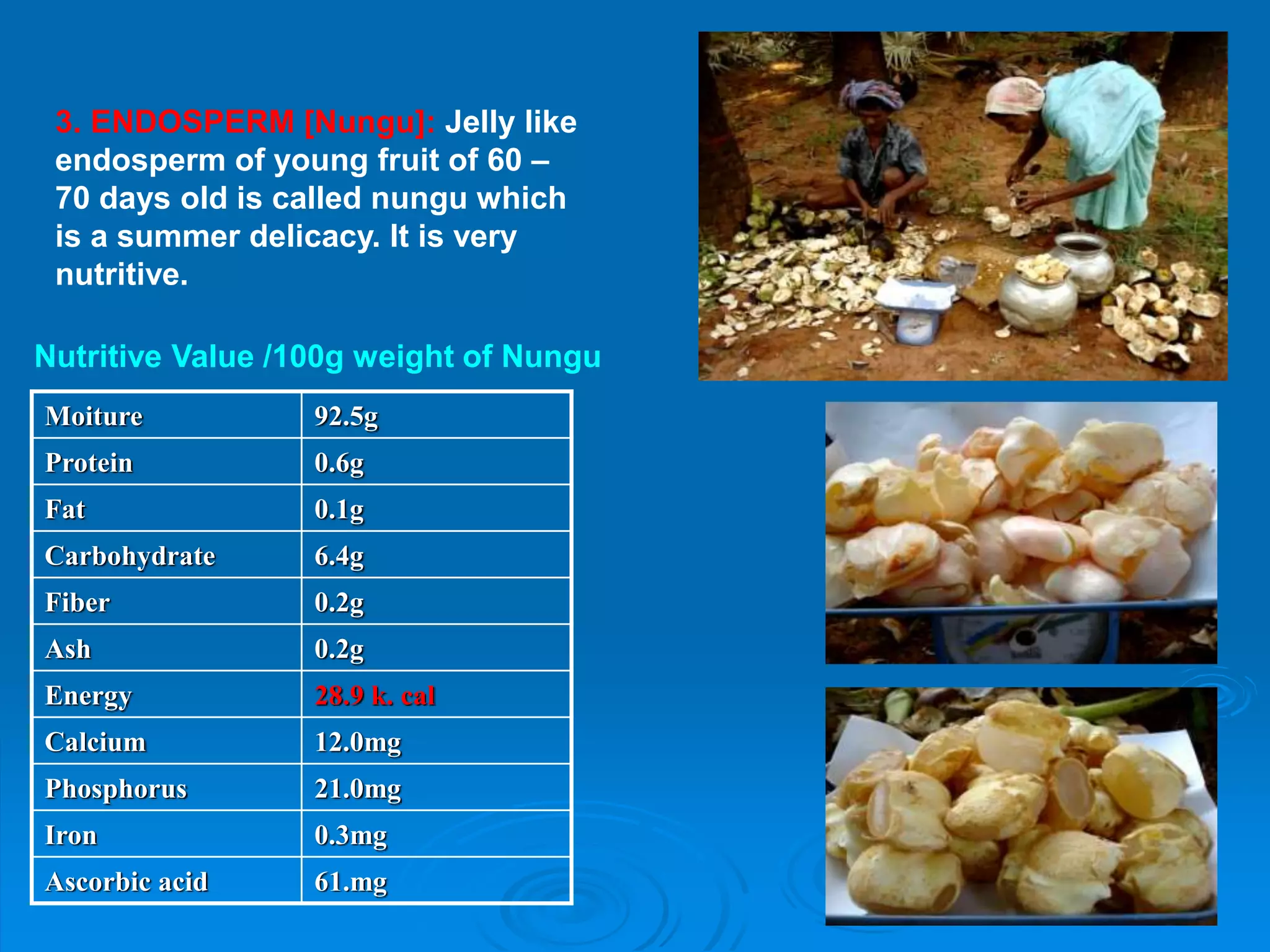 Value addition palmyrah | PPT