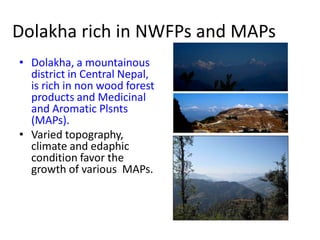 Value addtion of map vivek | PDF | Commodities | Economy