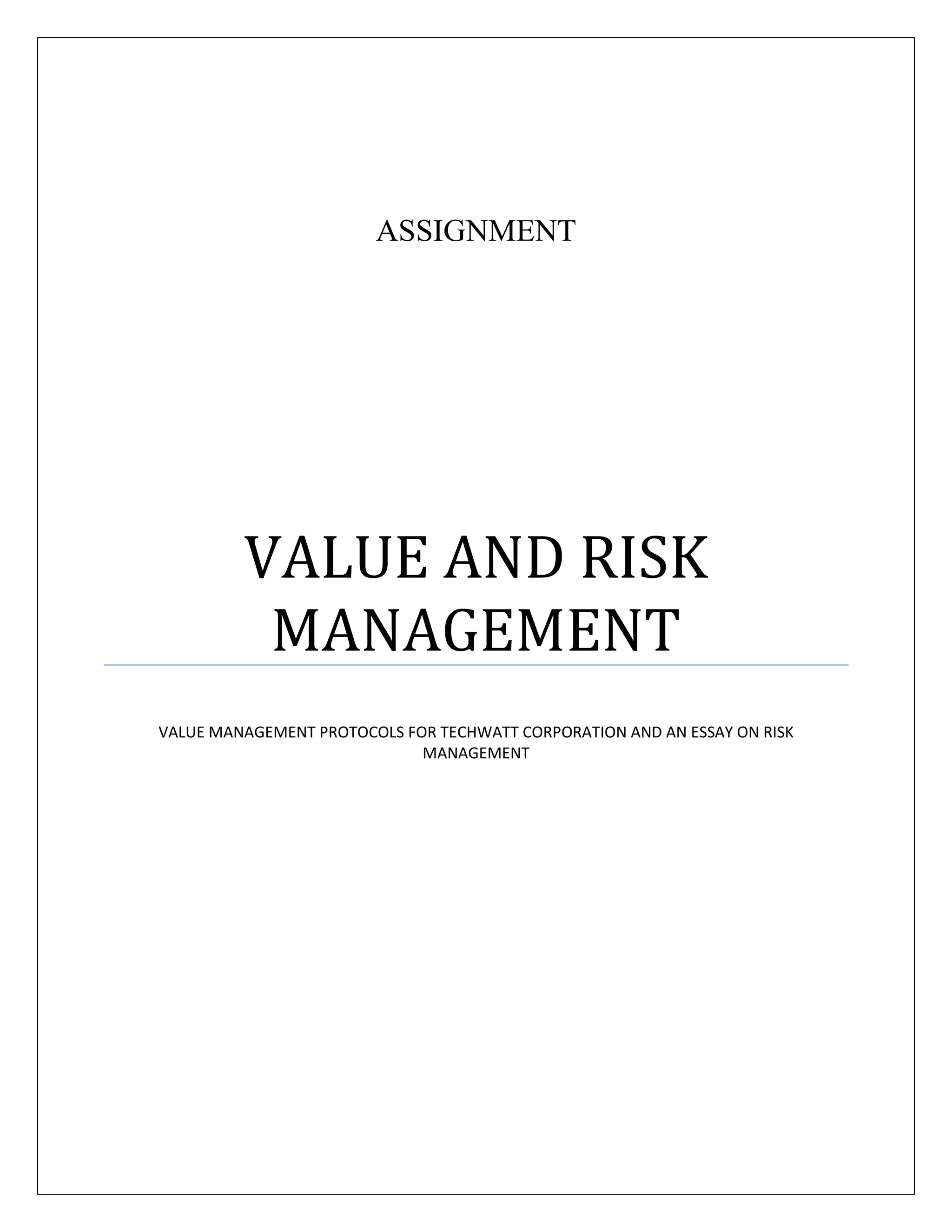 Value and risk assignment sample | PDF