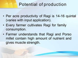 value chain analysis of millet.pptx