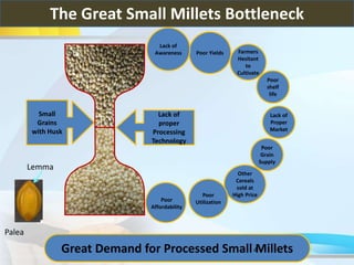 value chain analysis of millet.pptx
