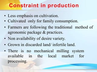 value chain analysis of millet.pptx