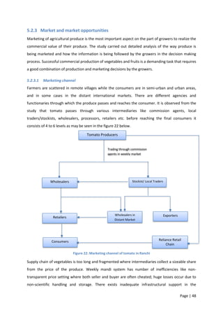 Value Chain Analysis of Tomato -. and production methodspdf | PDF