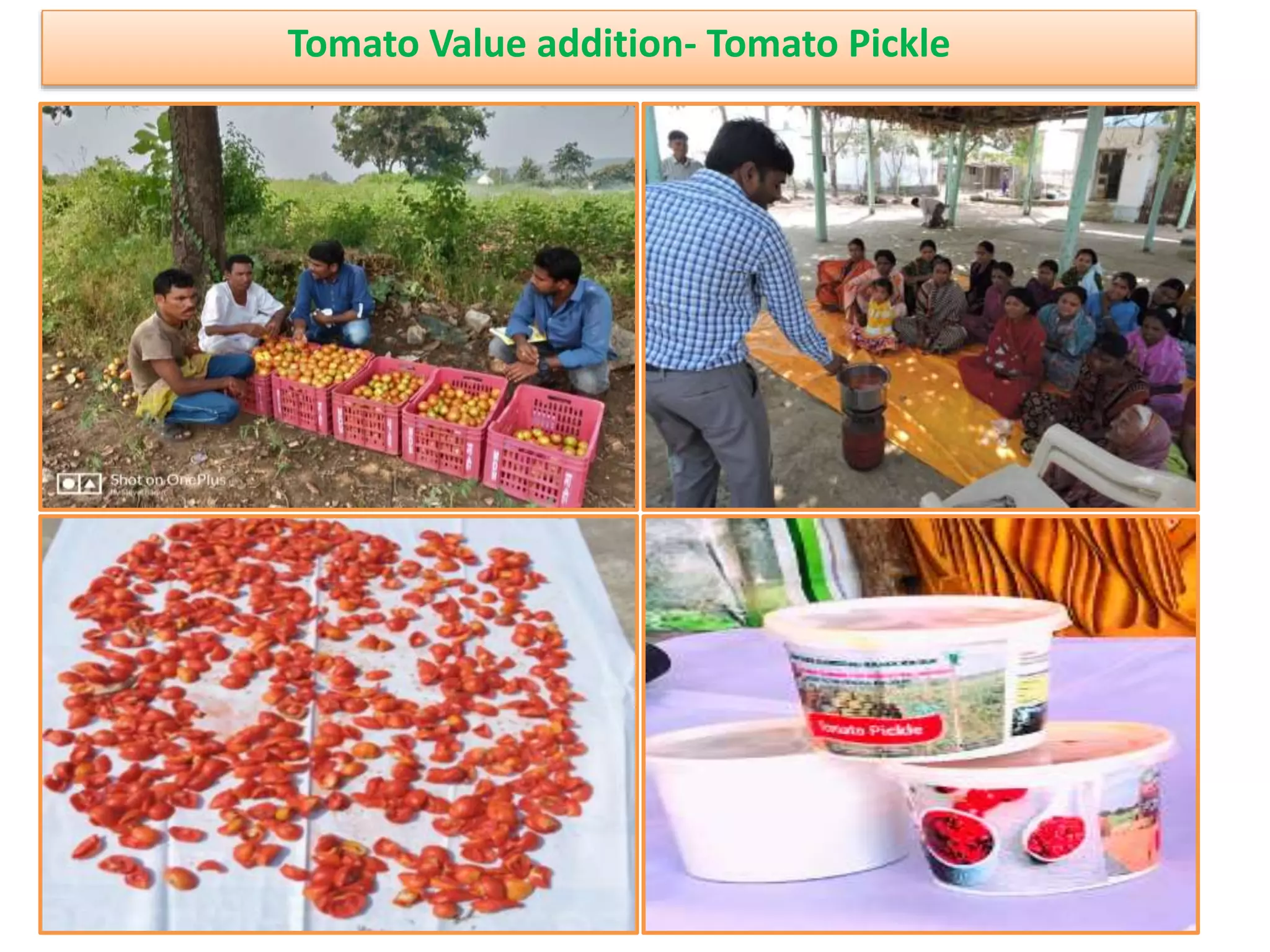 Value chain focused agro enterprise development | PPTX