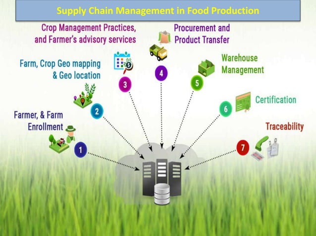 Value chain focused agro enterprise development | PPTX