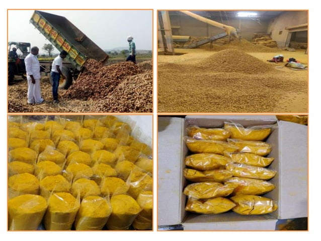 Value chain focused agro enterprise development | PPTX