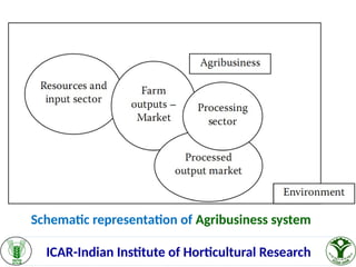 Value Chain of perishable horticultural commodities | PPTX