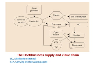 Value Chain of perishable horticultural commodities | PPTX