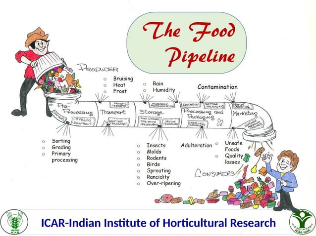 Value Chain of perishable horticultural commodities | PPTX ...