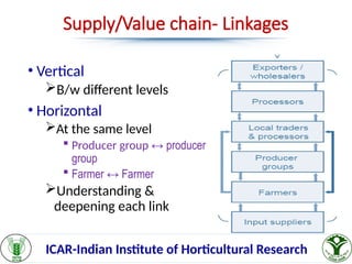 Value Chain of perishable horticultural commodities | PPTX