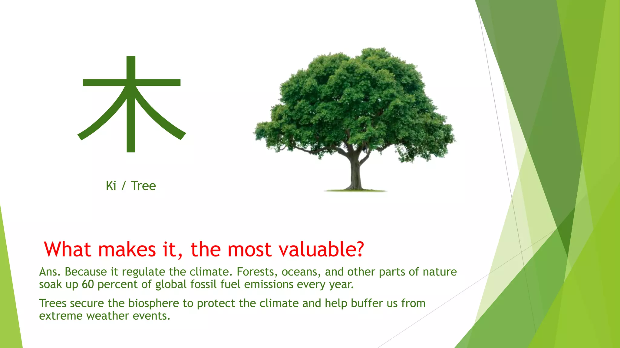 Value moment (tree) | PPTX