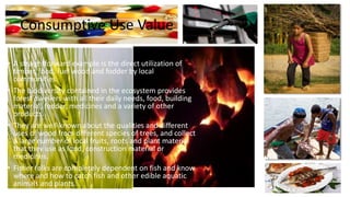 Value of biodiversity | PPTX