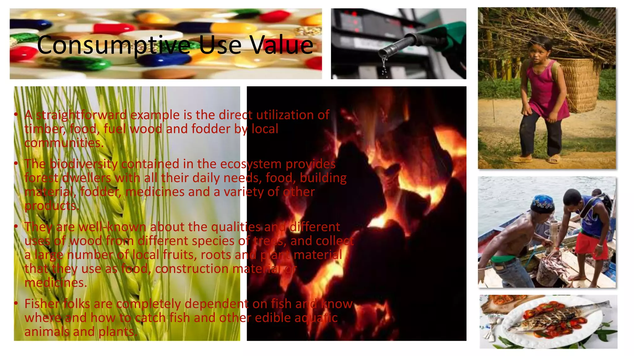 Value of biodiversity | PPTX