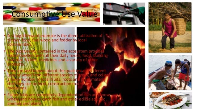 Value of biodiversity