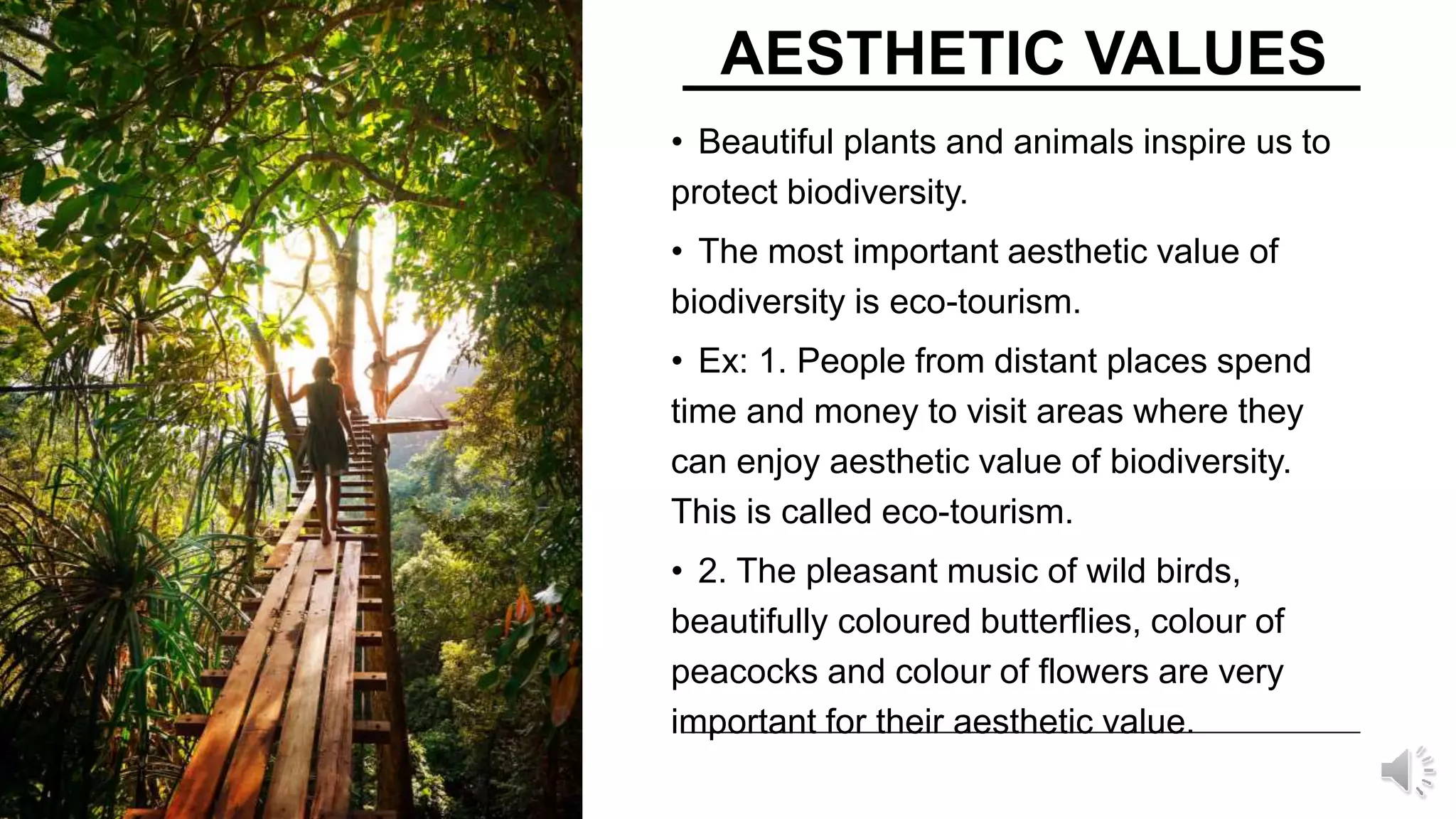 Value of Biodiversity.pptx