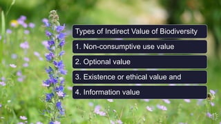 Value of Biodiversity.pptx