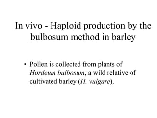 Value of haploid in breeding.pdf