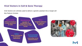 Process Development for Cell Therapy and Viral Gene Therapy | PPTX