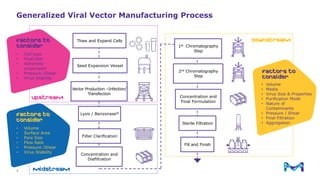 Process Development for Cell Therapy and Viral Gene Therapy | PPTX