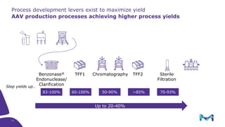 Process Development for Cell Therapy and Viral Gene Therapy | PPT