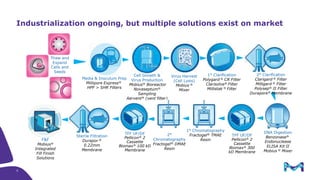 Process Development for Cell Therapy and Viral Gene Therapy | PPT