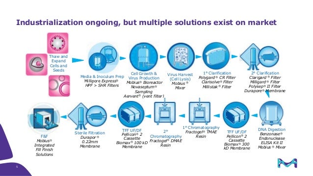 Process Development for Cell Therapy and Viral Gene Therapy