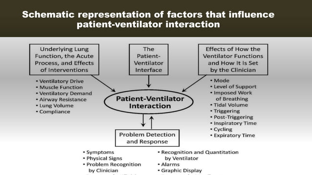 Value of ventilator mode and interface in regulating patient ventilator ...