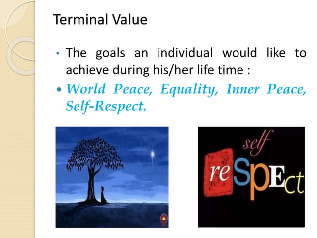 Organizational Behavior : Values | PPTX