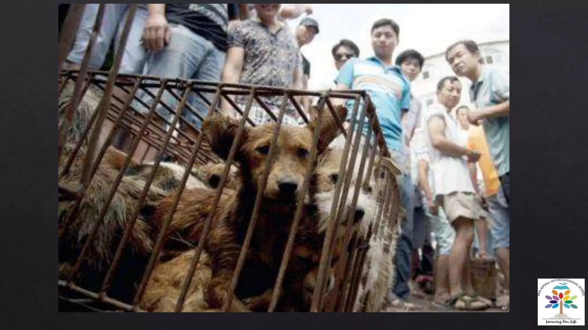 Values based learning | PPTX | Education